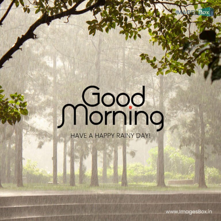 Rainfall Good Morning Images Rainy Day | Good Morning Images Rain