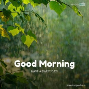 Rainfall Good Morning Images Rainy Day | Good Morning Images Rain