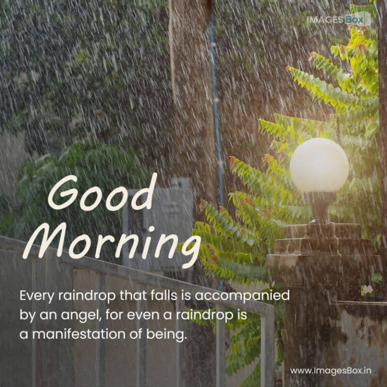 Rainfall Good Morning Images Rainy Day | Good Morning Images Rain
