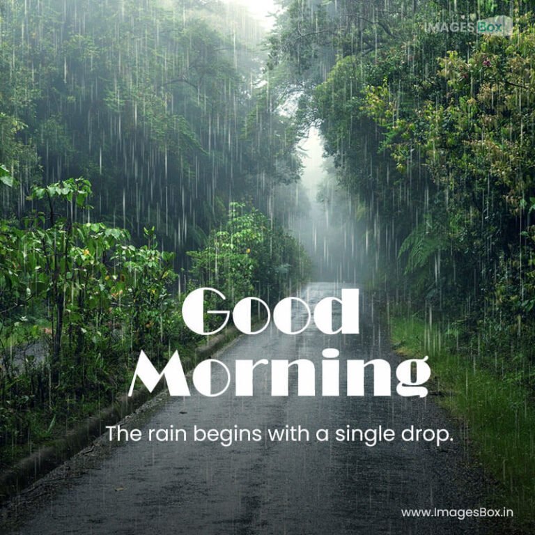 Rainfall Good Morning Images Rainy Day | Good Morning Images Rain