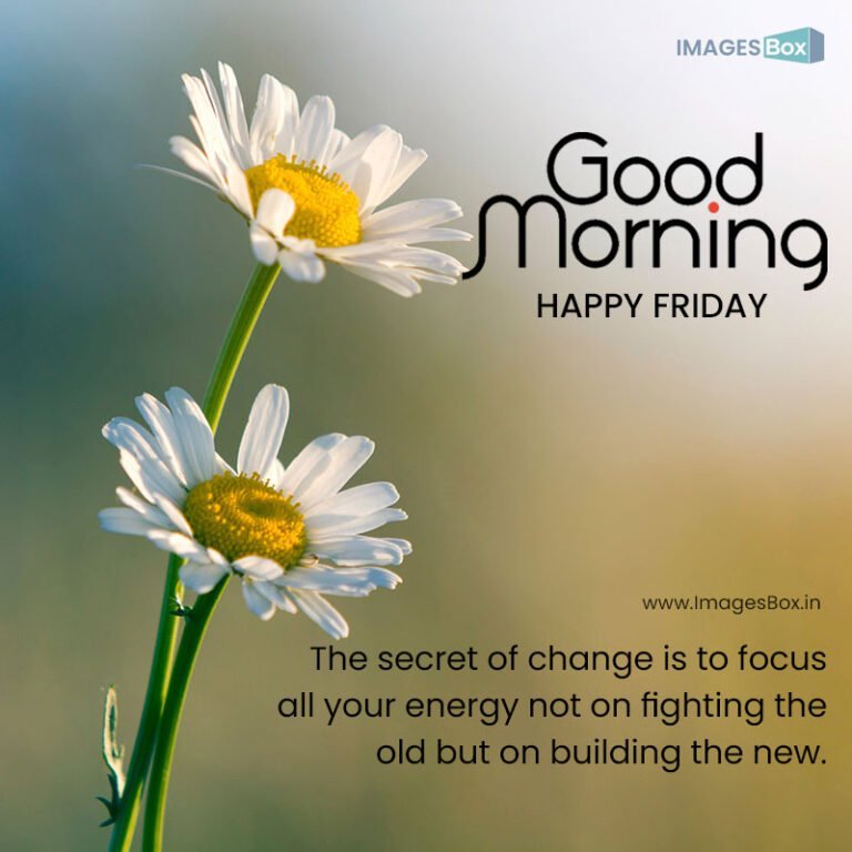 Good morning friday images | Good morning friday images for whatsapp 2025