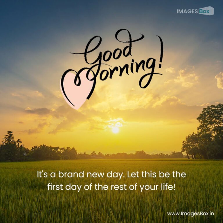 Good morning nature images hd | Sunrise good morning images with nature ...
