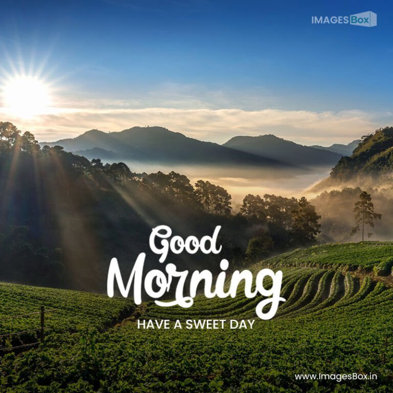 Good morning nature images hd | Sunrise good morning images with nature ...