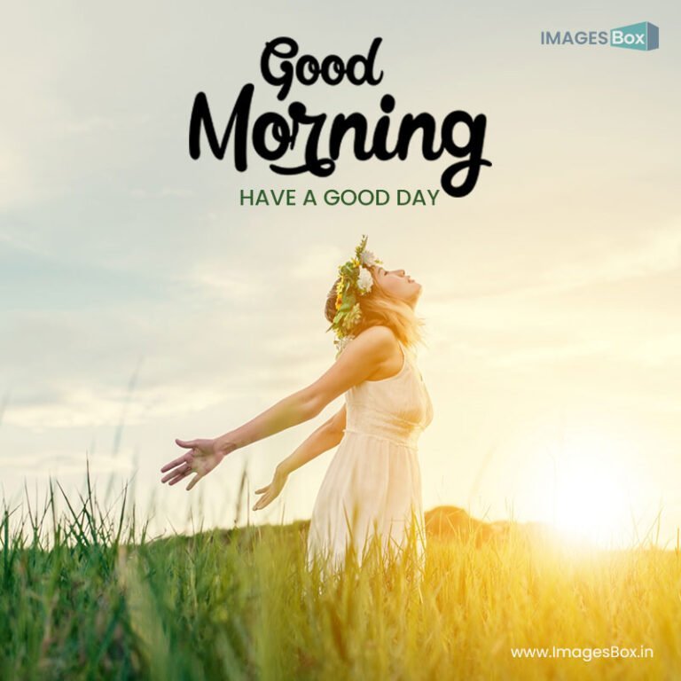 Good morning nature images hd | Sunrise good morning images with nature ...