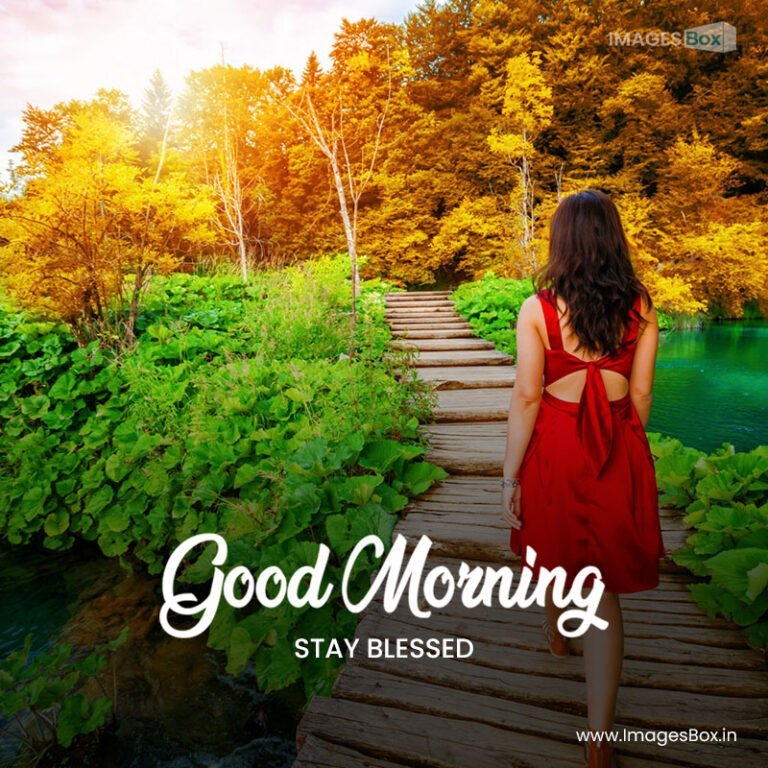 Good morning nature images hd | Sunrise good morning images with nature ...
