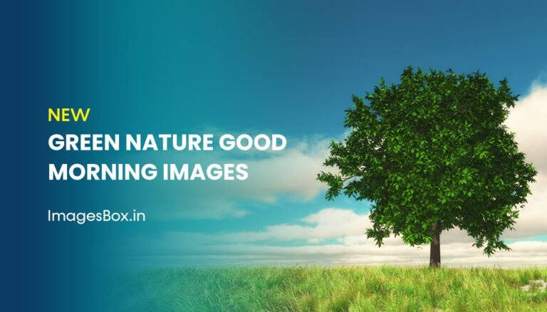 25+ Beautiful Good Night Nature Images with Quotes (2025)