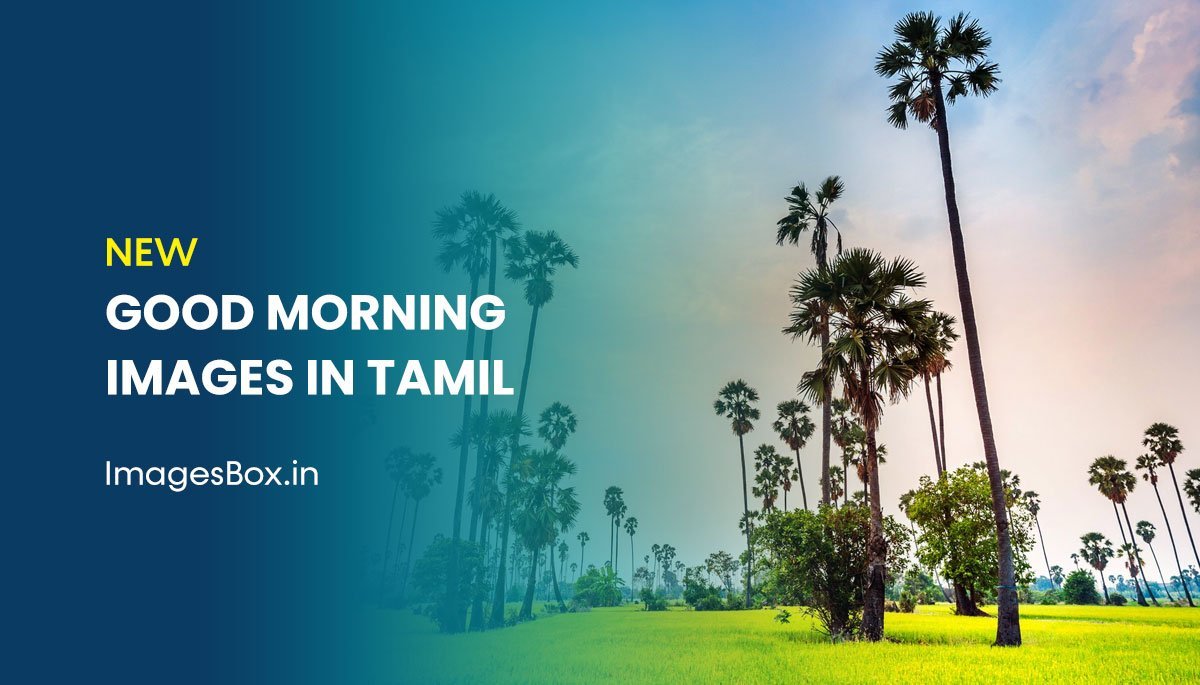Good morning images in tamil for whatsapp | Good morning in tamil 2025