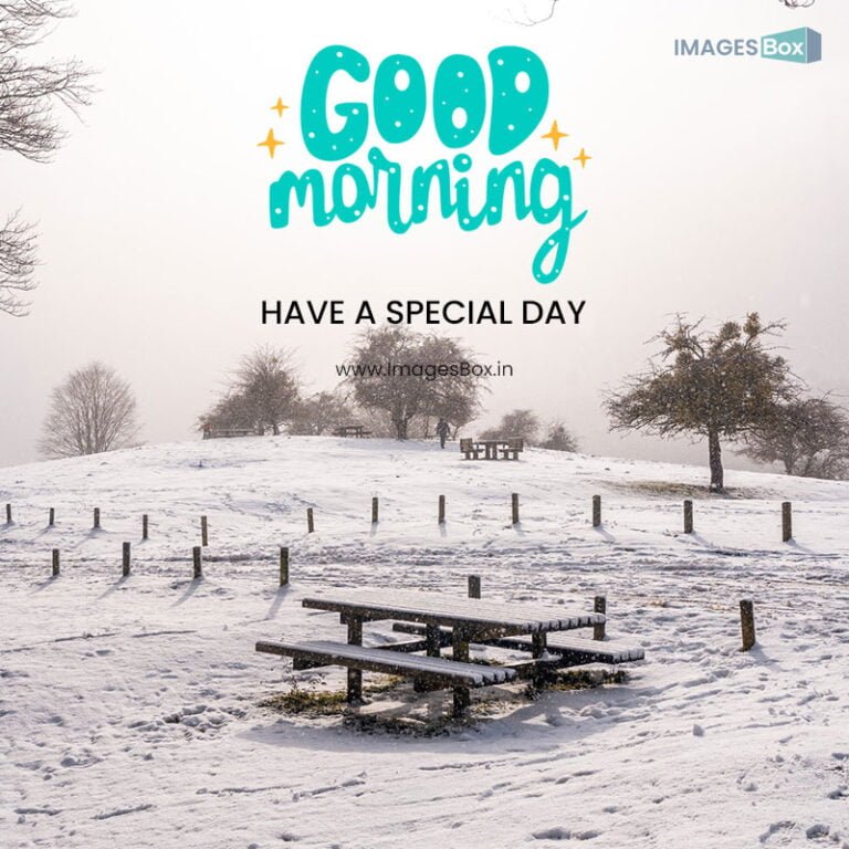 Good morning winter images | Winter season good morning images 2025
