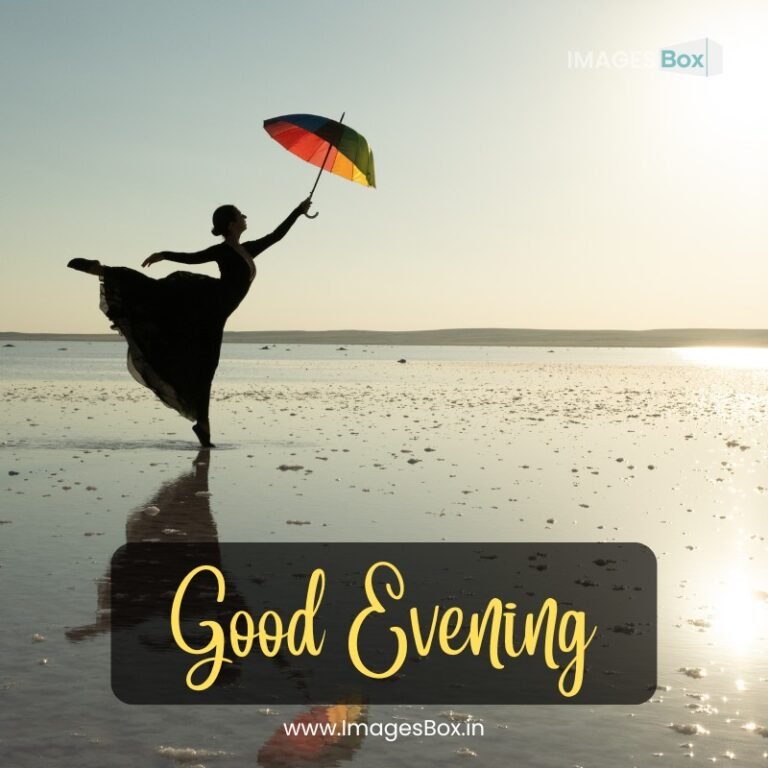 Good Evening Rainy Images with Quotes 2025