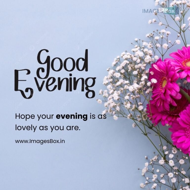 Flower Good Evening Images & Quotes 2025