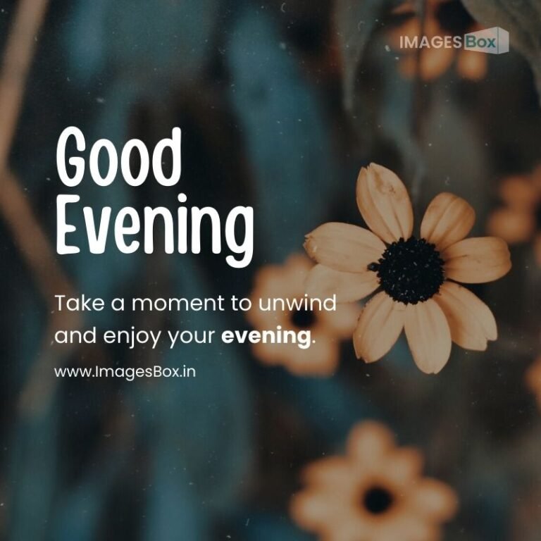Flower Good Evening Images & Quotes 2025
