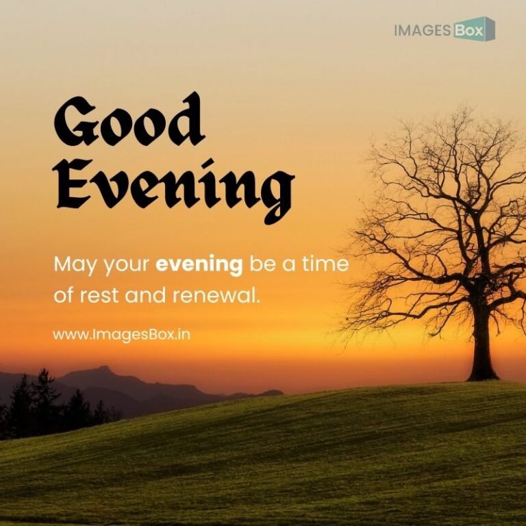 Good Evening Nature Images & Quotes 2025