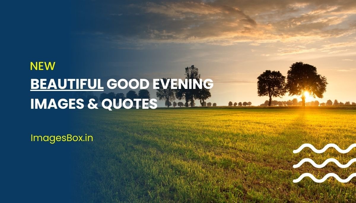 Evening Images Quotes 100+] Good Evening Pictures | Wallpapers.com