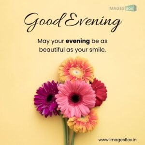 Flower Good Evening Images & Quotes 2025