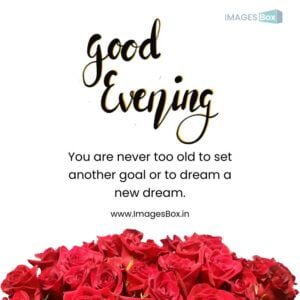 Good Evening Rose Images & Quotes 2025