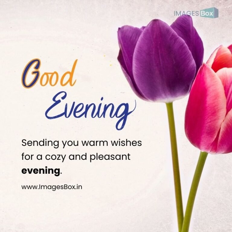 Flower Good Evening Images & Quotes 2025