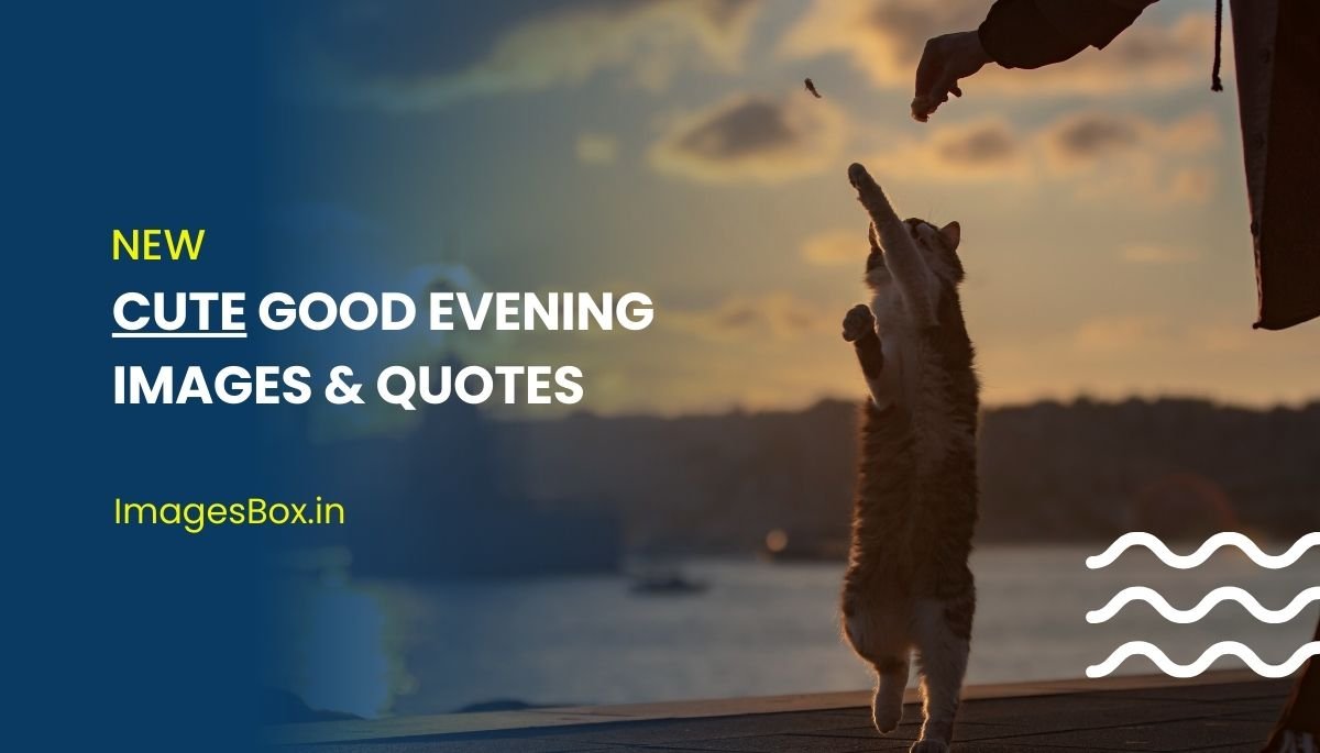Cute Good Evening Images with Quotes 2025