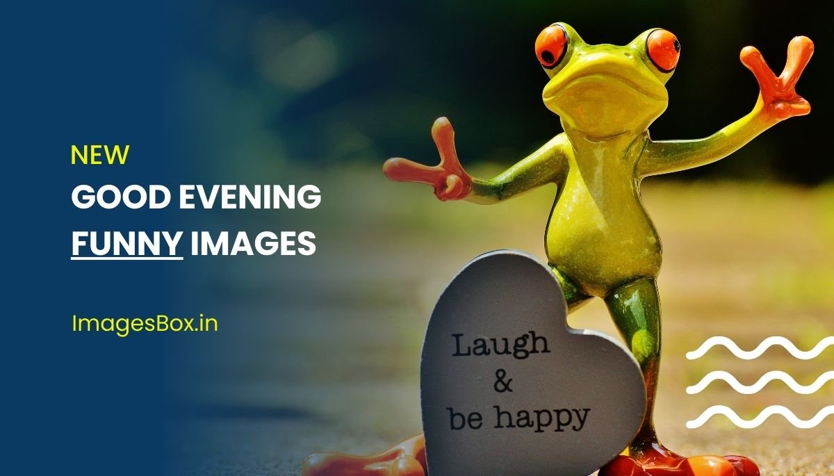 Good Evening Funny Images 2025