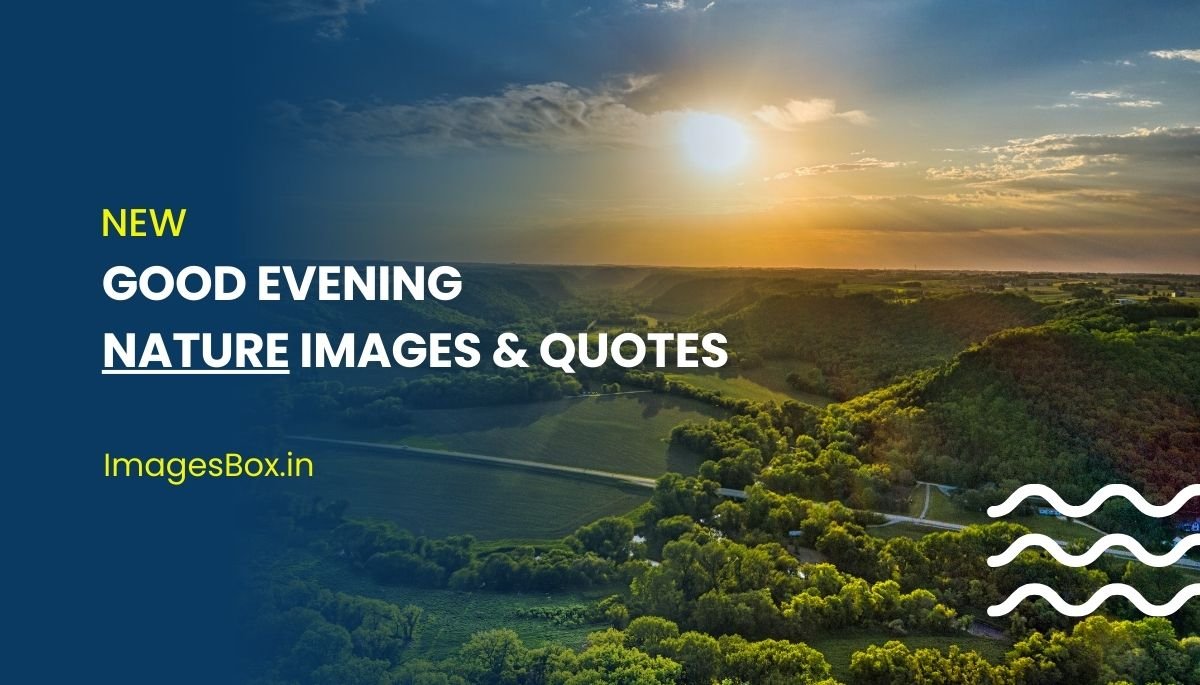 Good Evening Nature Images & Quotes 2025