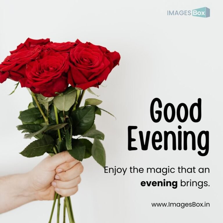 Good Evening Rose Images & Quotes 2025