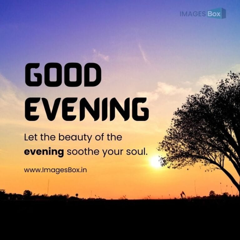 Peaceful Beautiful Good Evening Images & Quotes 2025