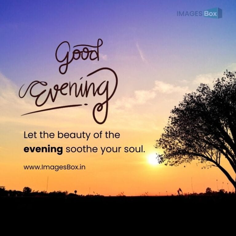 Good Evening Nature Images & Quotes 2025