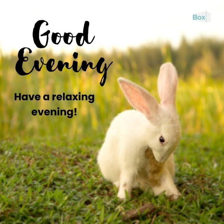 Cute Good Evening Images with Quotes 2025