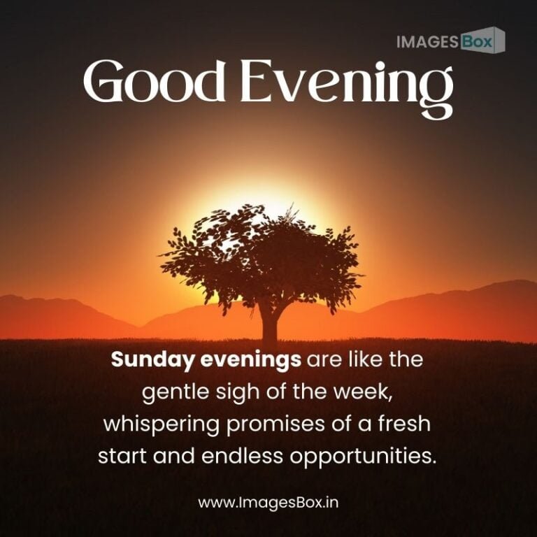Sunday Good Evening Images & Quotes 2025