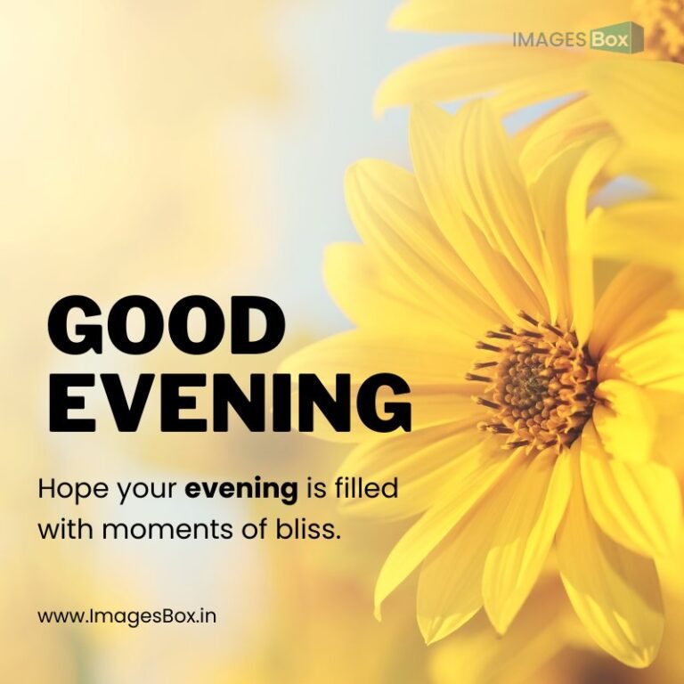 Flower Good Evening Images & Quotes 2025