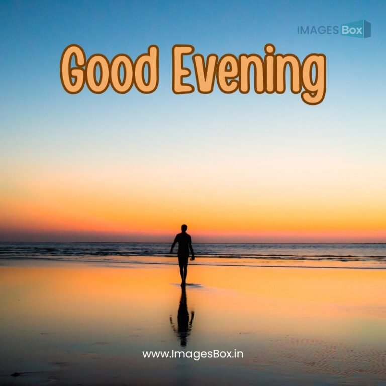 Cute Good Evening Images with Quotes 2025