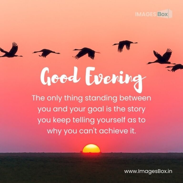 Cute Good Evening Images with Quotes 2025