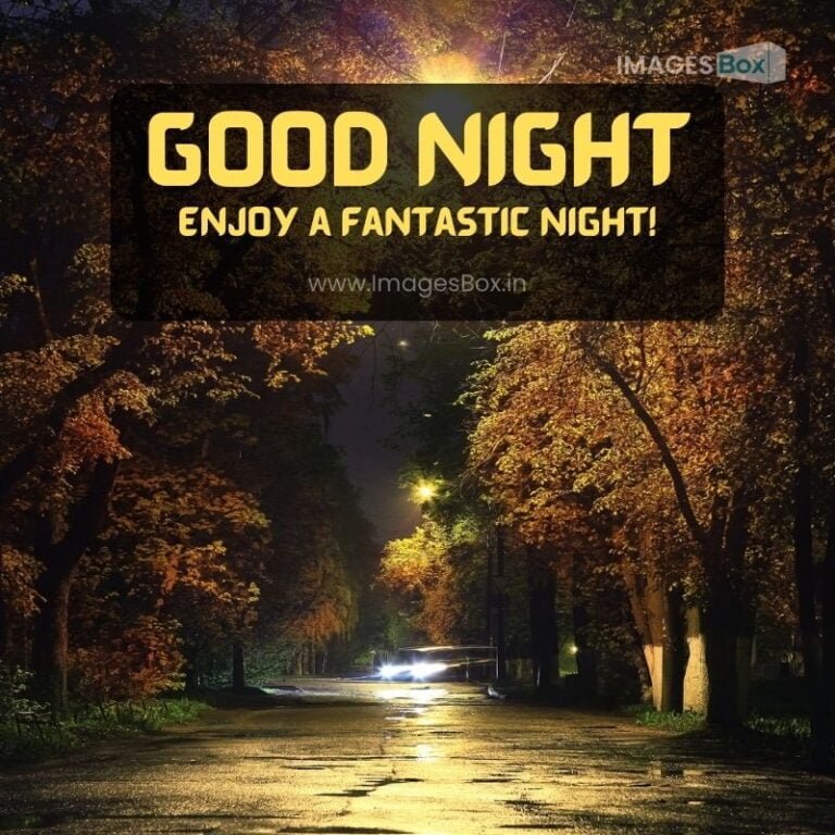 25+ Beautiful Good Night Nature Images with Quotes (2025)