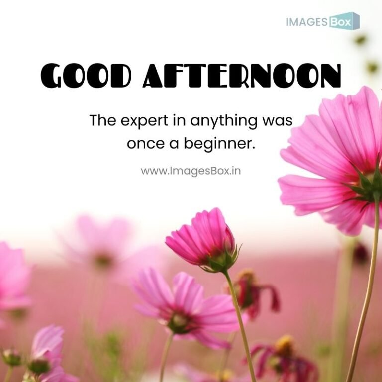 25+ Beautiful Good Afternoon Images with Quotes 2025