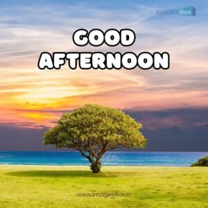 25+ Beautiful Good Afternoon Images with Quotes 2025