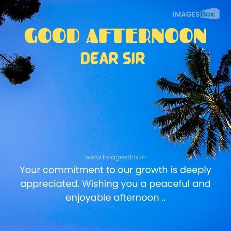 25+ Good Afternoon Sir Images with Quotes (2025)