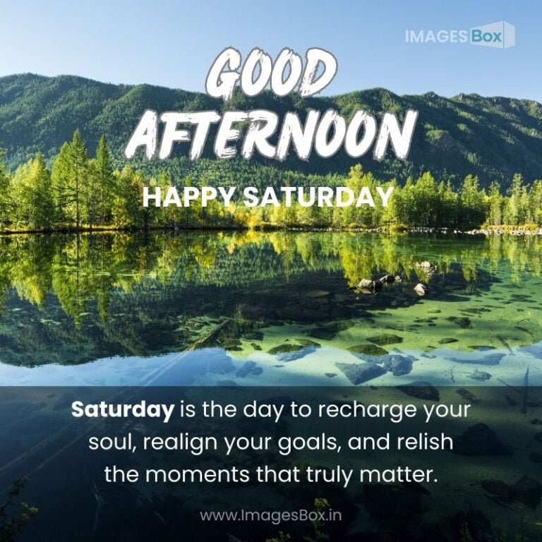 25+ Good Afternoon Saturday Images & Quotes 2025