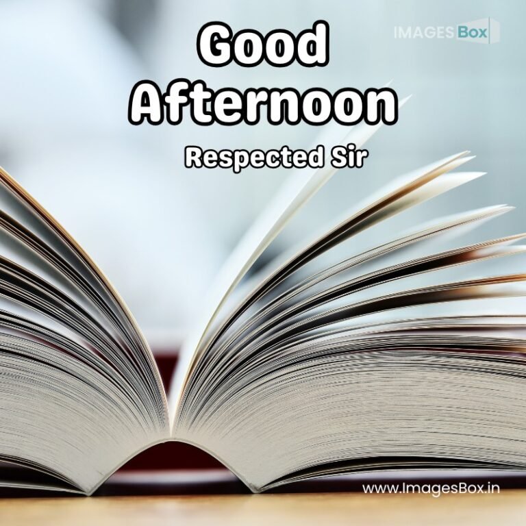 25+ Good Afternoon Sir Images with Quotes (2025)