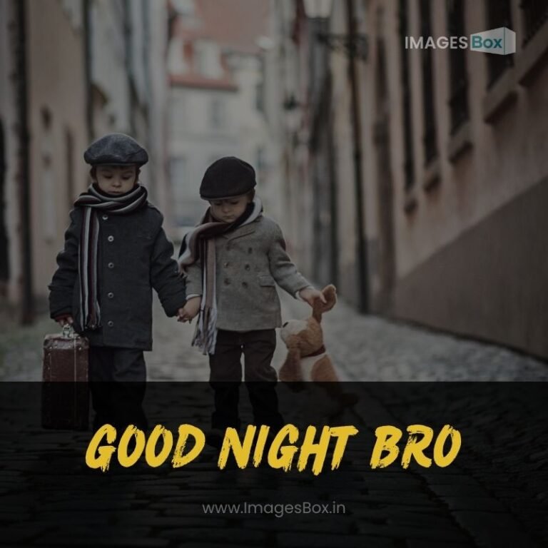 30+ Good Night Brother Images, Bro Images (2025)