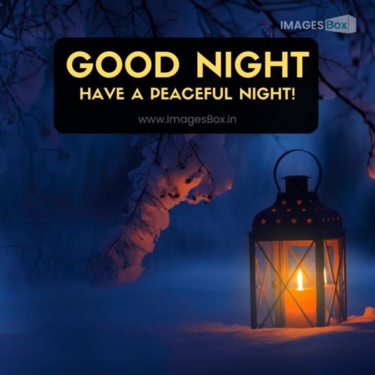 28+ Free Good Night Winter Images with Quotes (2025)