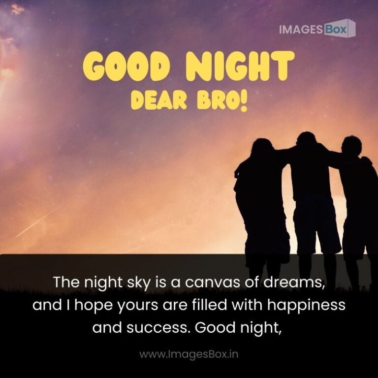 30+ Good Night Brother Images, Bro Images (2025)