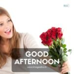 25+ Good Afternoon Rose Images with Quotes (2025)