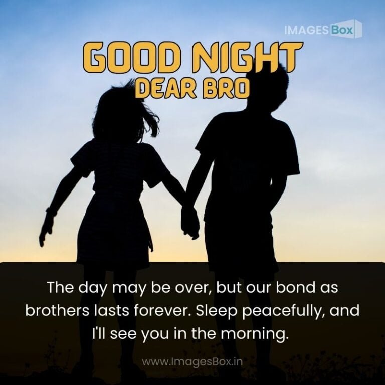 30+ Good Night Brother Images, Bro Images (2025)