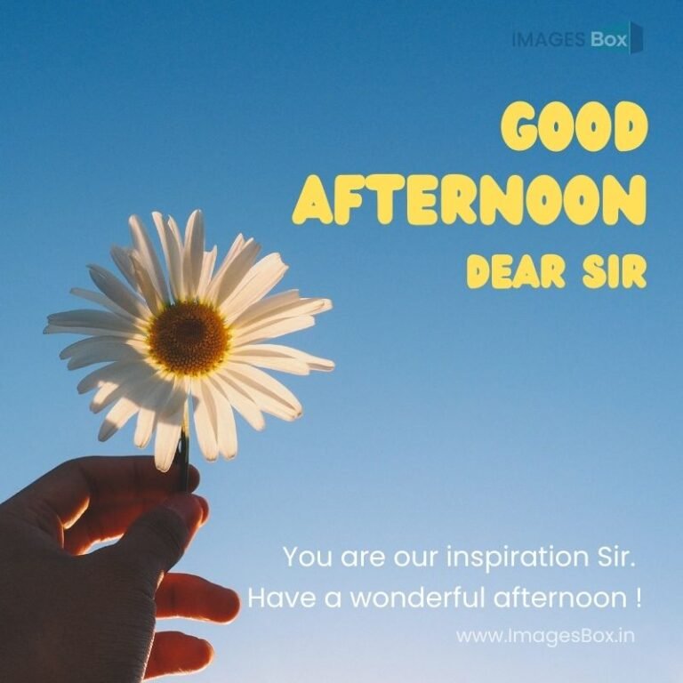 25+ Good Afternoon Sir Images with Quotes (2025)