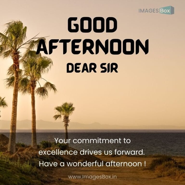 25+ Good Afternoon Sir Images with Quotes (2025)