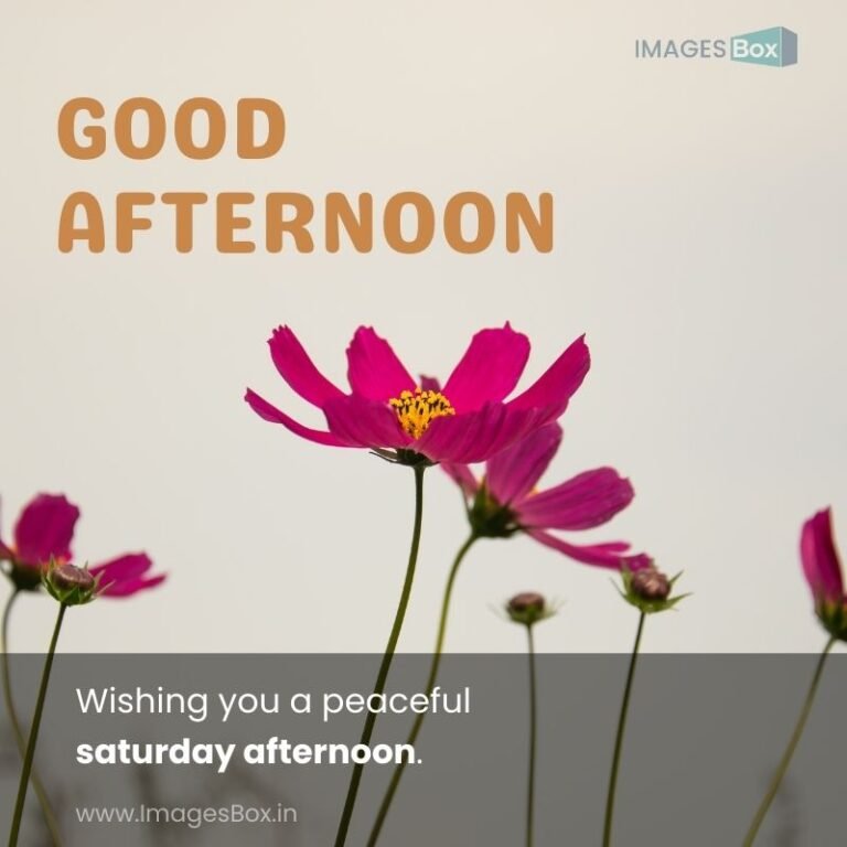 25+ Good Afternoon Saturday Images & Quotes 2025