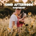 25+ Romantic Good Afternoon Image with Quotes 2025