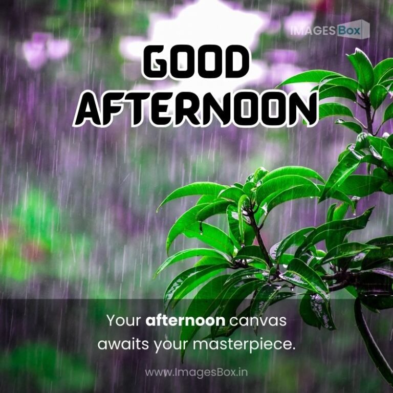 20+ Good Afternoon Rainy Images with Quotes 2025