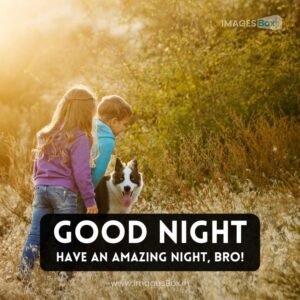 30+ Good Night Brother Images, Bro Images (2025)