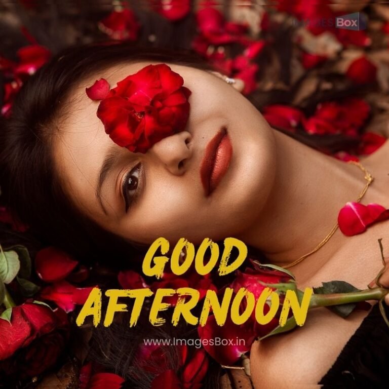 25+ Good Afternoon Rose Images with Quotes (2025)