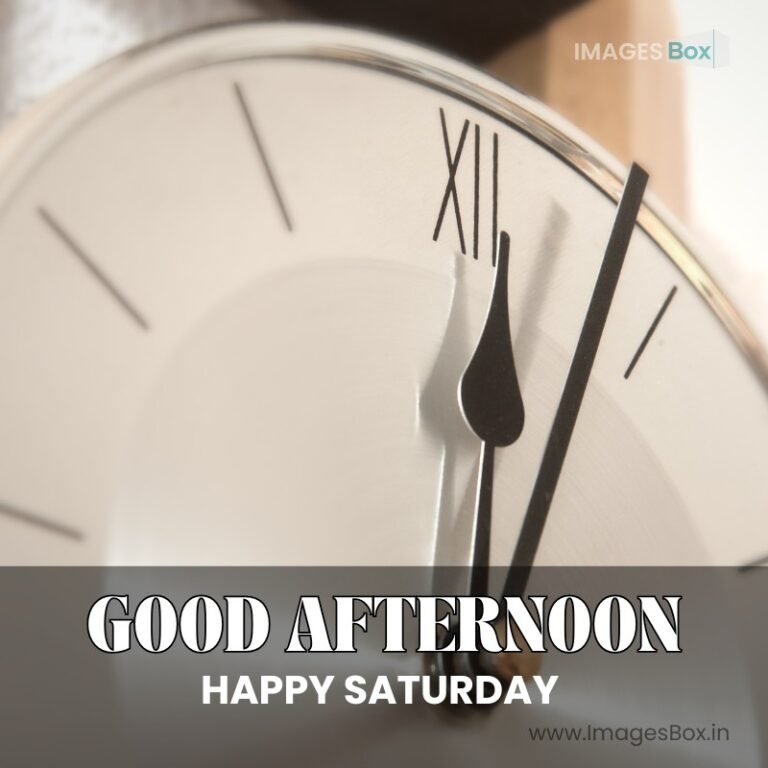 25+ Good Afternoon Saturday Images & Quotes 2025